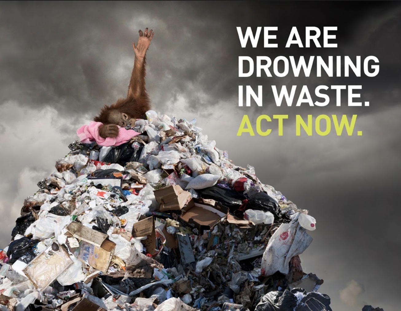 Reducing Paper Consumption | Environmental Paper Network